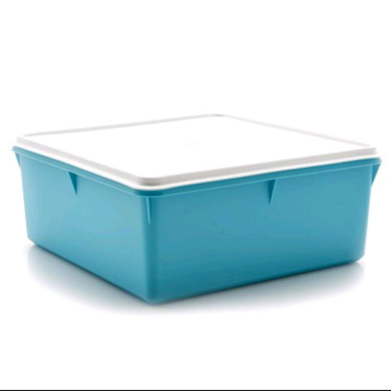 Jual SQUARE KEEPER TUPPERWARE 10 LITER | Shopee Indonesia