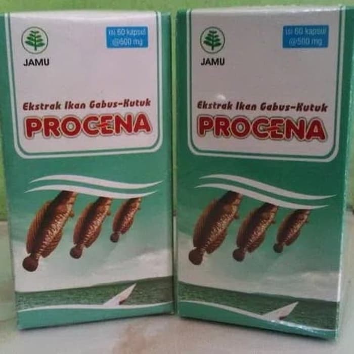 Jual procena kapsul ekstrak ikan gabus 2 botol (1 botol isi 60 kapsul ... Jual procena kapsul ekstrak ikan gabus 2 botol (1 botol isi 60 kapsul ...