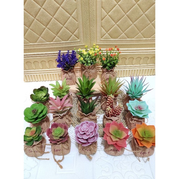 Jual bunga sukulen / kaktus /lavender / bunga karung goni /bunga hias ...
