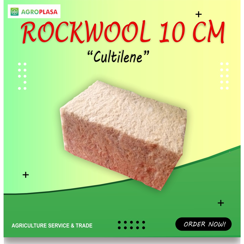 Jual Media Tanam Rockwool Hidroponik ukuran 10cm - AgroPlasa | Shopee ...