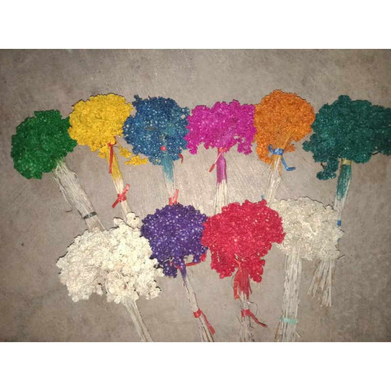Jual Bunga Abadi Edelweis Variasi Warna/ Bunga Kering Edelweis - UPLOAD ...