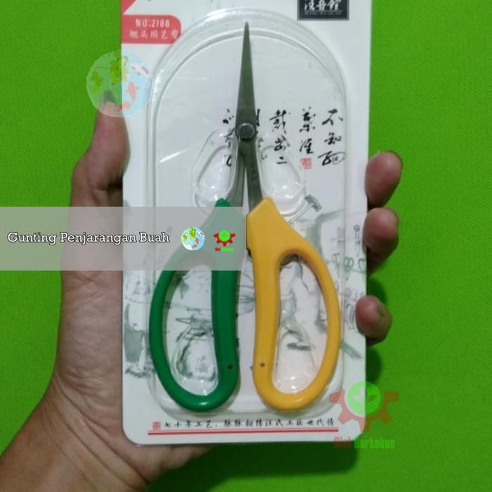 Jual Gunting Penjarangan Buah Anggur | Shopee Indonesia