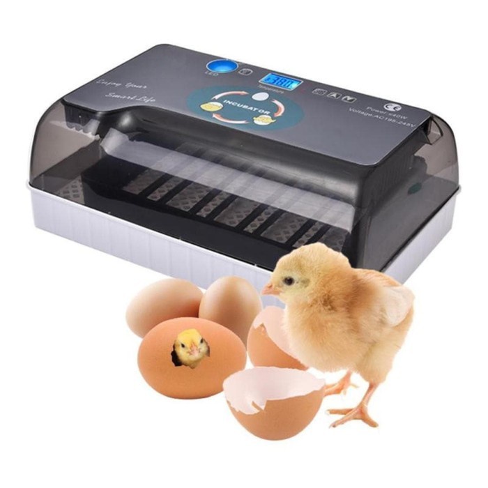 Jual 20 Egg Incubator Penetas Telur Burung Bird Parrot Reptil HHD20 ...