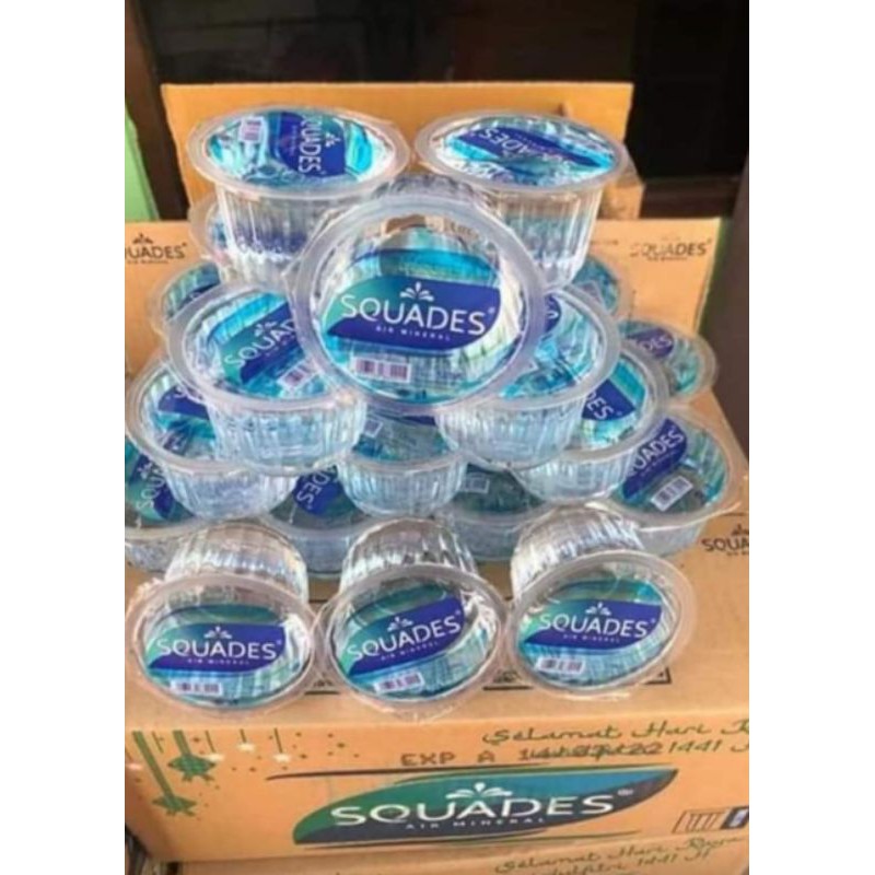 Jual PROMO Squades Mini isi 45 | Shopee Indonesia