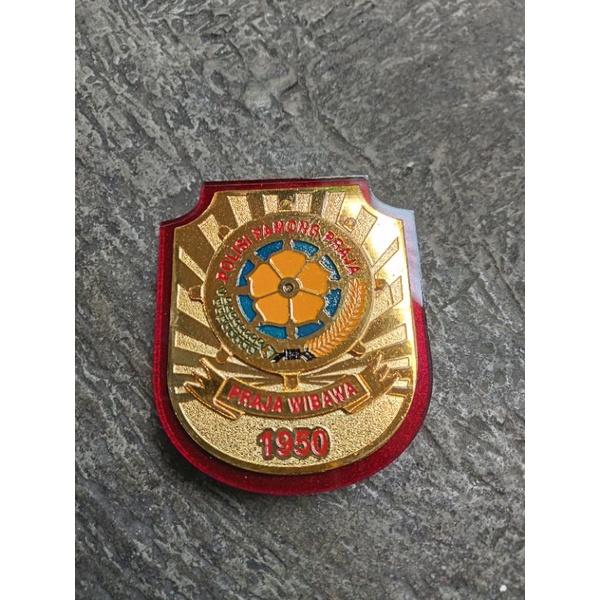 Jual PIN KEWENANGAN POL PP/LENCANA SATPOL PP | Shopee Indonesia