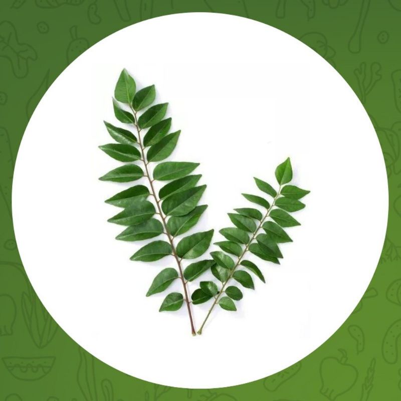 Jual Daun Kari | Daun Kari Segar | Daun Salam Koja || Per Kemasan ...