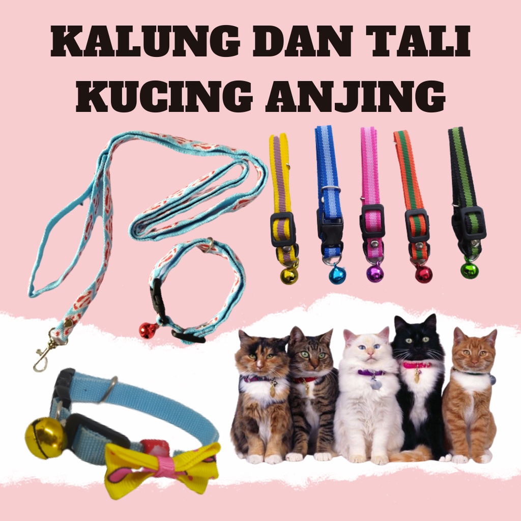 Jual KALUNG KUCING PET COLLAR KALUNG LONCENG DAN PITA HARNES | Shopee ...