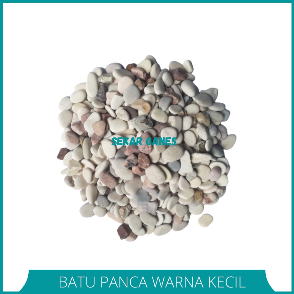 Jual Batu Pancawarna Batu Koral Kerikil Taman Aquarium Aquascape Kemasan 500 Gram / Batu ...