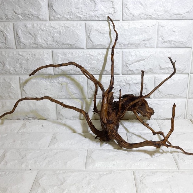 Jual AKAR RASAMALA KAYU RASAMALA AQUASCAPE SIZE S 20CM KAYU AKAR ...