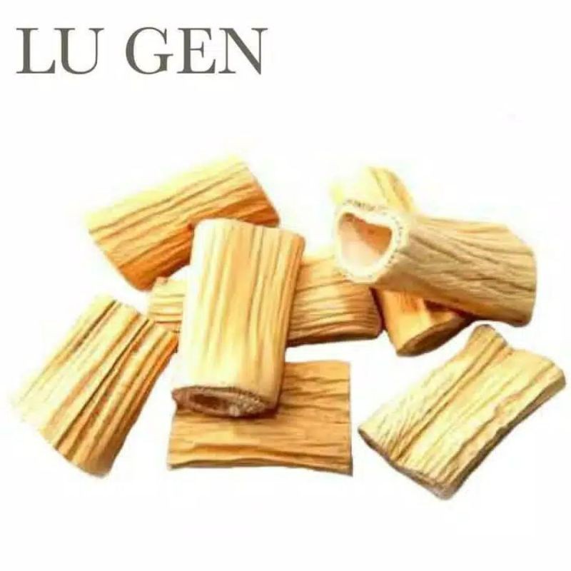 Jual [300gram] Lu Gen / Lu Zhu Gen - [ 芦竹根 ] - Rhizoma Phragmitis Reed ...