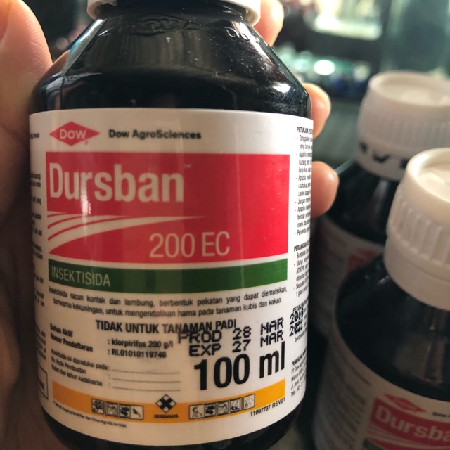 Jual Dursban 100ml insektisida pembasmi hama kutu putih,ulat | Shopee ...