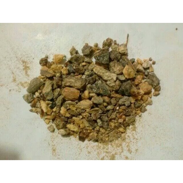 Jual 10 G 50 GR 100 GRAM 冲琥珀 CHONG HU PO SUCCINUM HUPO AMBER | Shopee ...