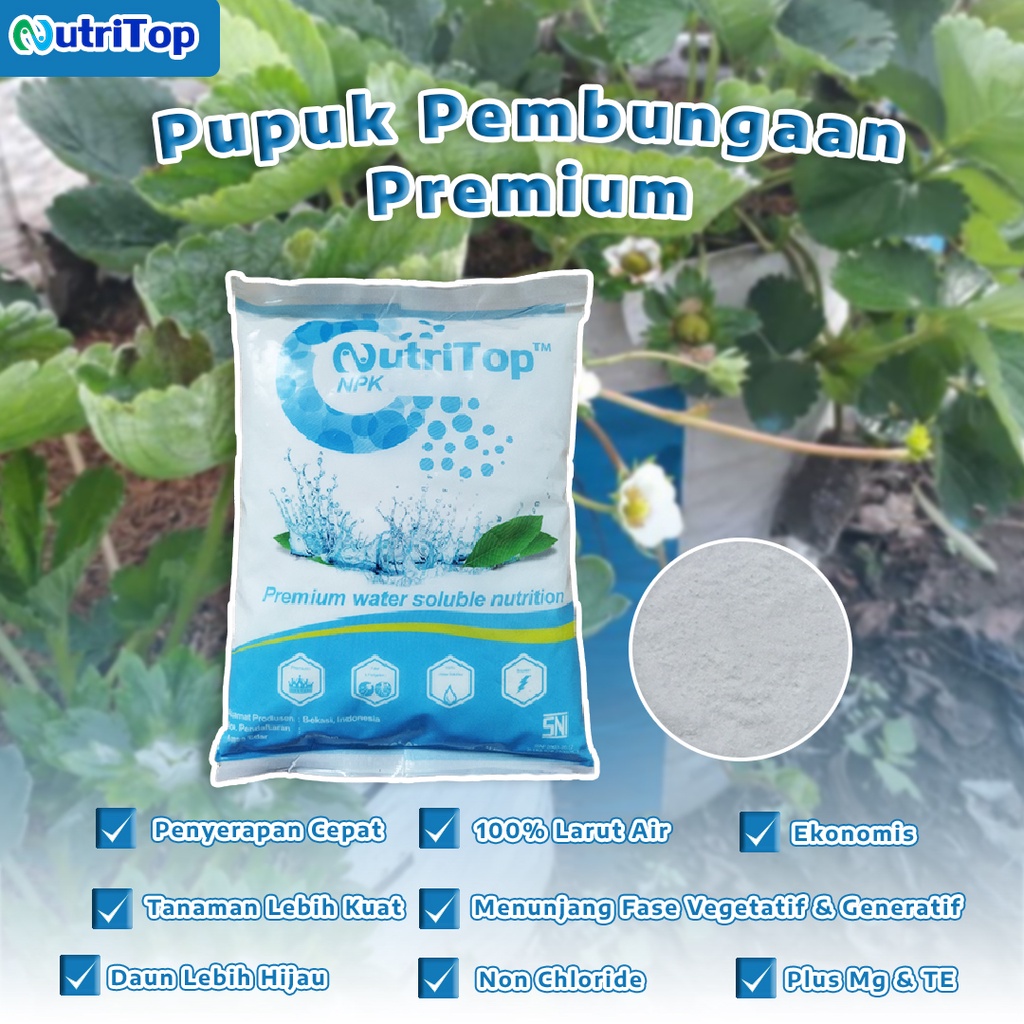 Jual Pupuk Pembungaan Premium NPK WS 15-30-15 + Mg + TE NutriTop 1 Kg | Shopee Indonesia