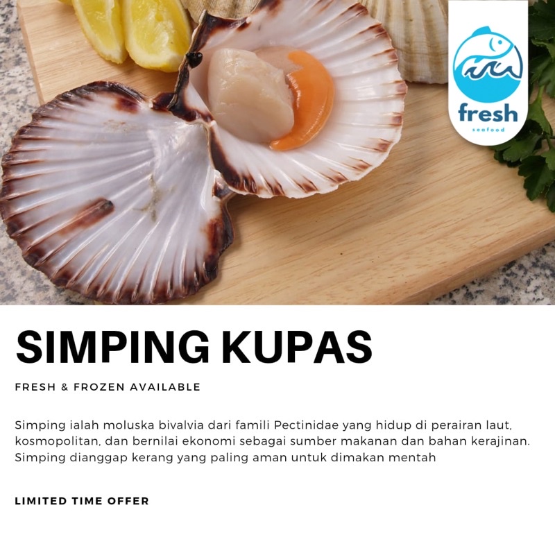Jual KERANG SIMPING KUPAS SEBELAH 1kg | Shopee Indonesia