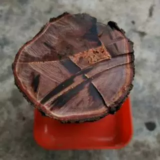 Jual Kayu Stigi Terlengkap & Harga Terbaru Desember 2025 | Shopee Indonesia