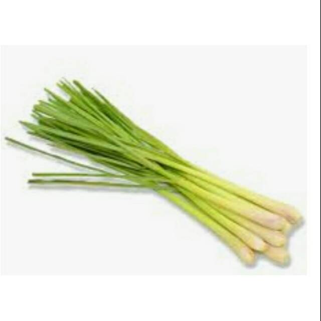 Jual Sereh Serai per ikat - Gerobak Sayur Palembang | Shopee Indonesia