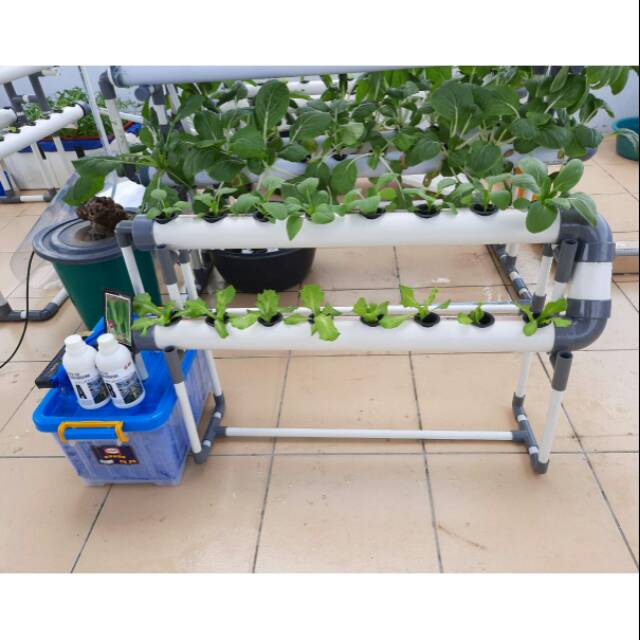 Jual HIDROPONIK SET UNTUK PEMULA | Shopee Indonesia