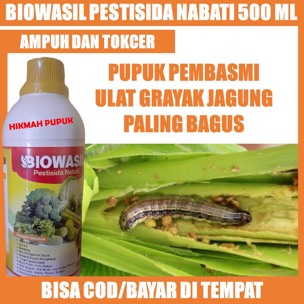 Jual {ASLI MURAH} BIOWASIL Isi 500 ML PESTISIDA HAMA ULAT GRAYAK JAGUNG ...