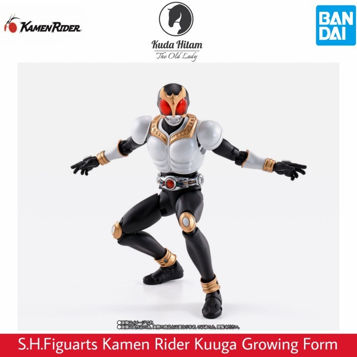 Jual SHF Figure Rise Standard SHF Kamen Rider Kuuga Masked Rider ...