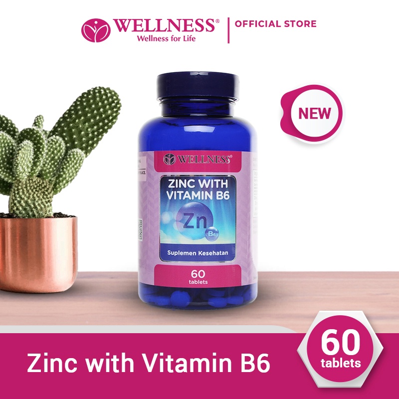 Jual Wellness Zinc With Vitamin B6 - 60 Tablets | Shopee Indonesia