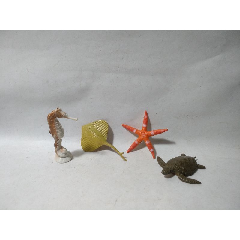 Jual Kuda Bintang Laut Sea Horse Star Fish Seahorse Be Pasih Iwak Lauk ...