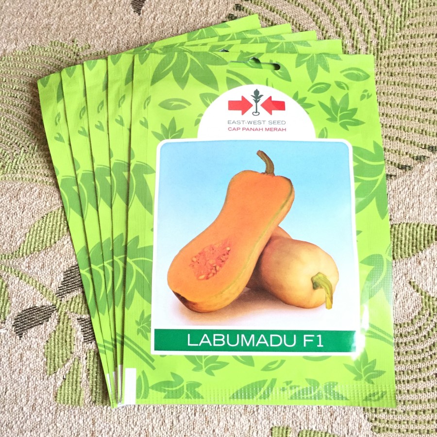 Jual Benih Bibit Labu Madu Butternut Squash Panah Merah kemasan asli SP ...