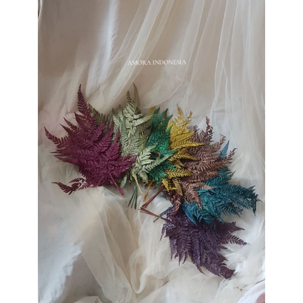 Jual Daun Pakis Kering | Shopee Indonesia