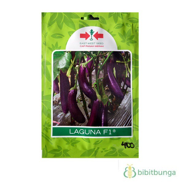 Jual Benih Panah Merah Terong Ungu Laguna F1 – 400 Biji | Shopee Indonesia