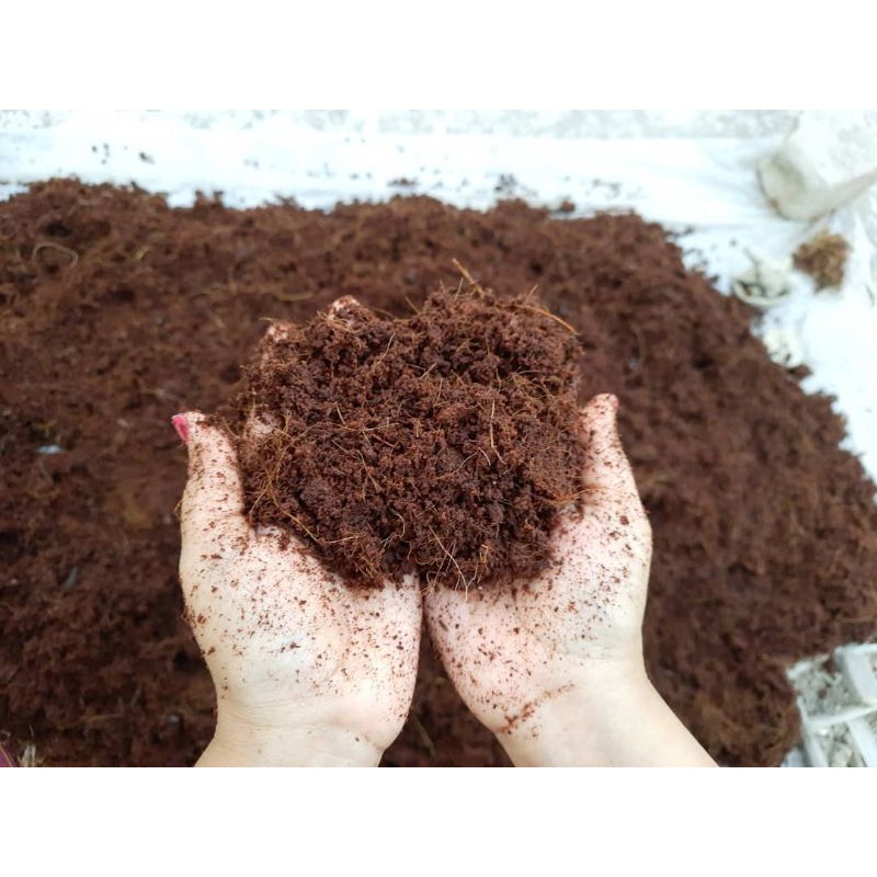 Jual Media Tanam Cocopeat 1000 gram / kokopit 1 kg | Shopee Indonesia