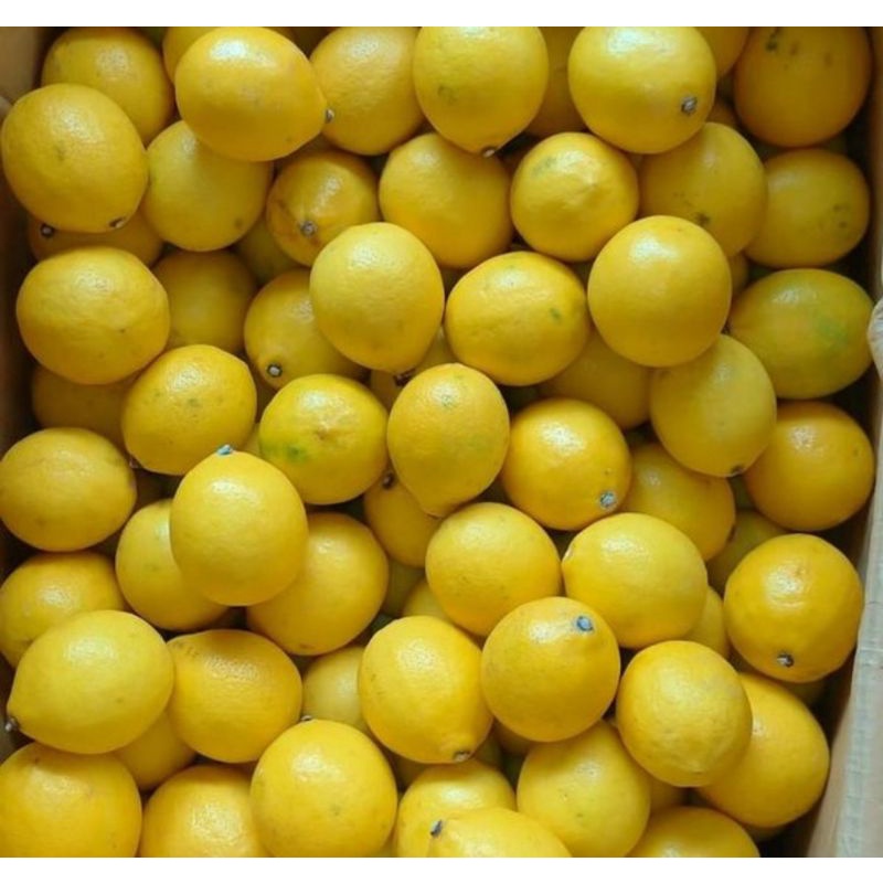 Jual BUAH LEMON CALIFORNIA LOKAL FRESH GROSIR 1KG | Shopee Indonesia
