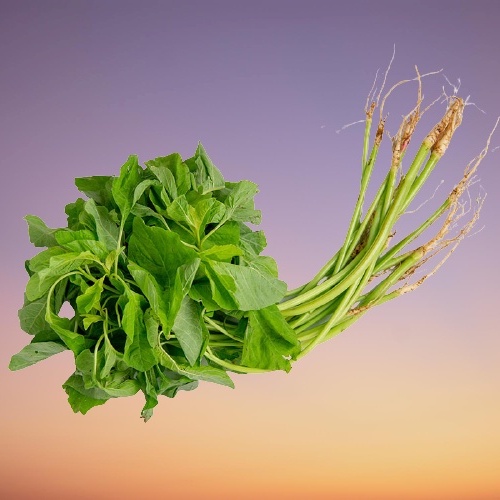 Jual ( PER IKAT ) ~ BAYAM SEGAR, SAYTUR BAYAM HIJAU | Shopee Indonesia