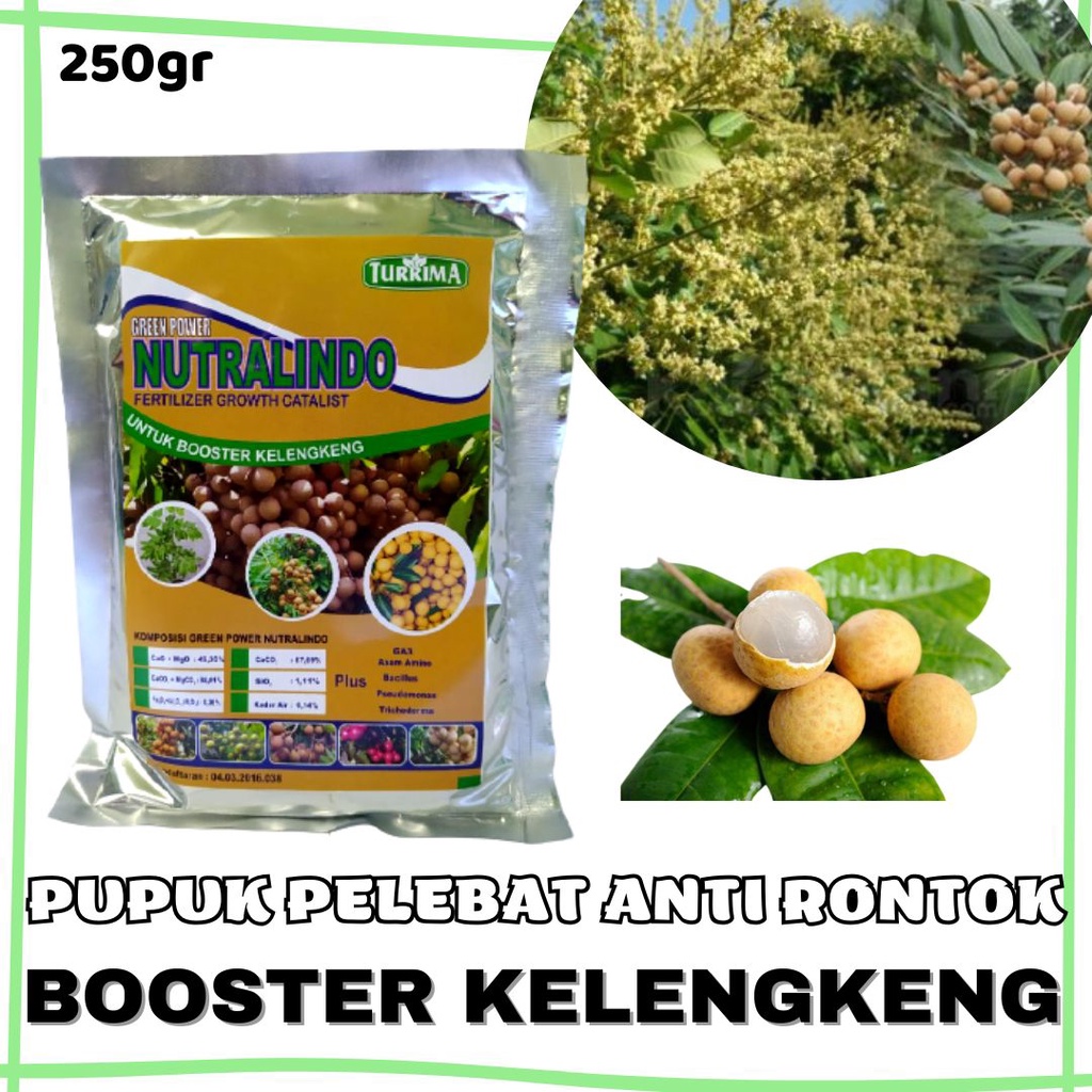 Jual Pupuk Kelengkeng Organik Padat, Nutrisi Tanaman Kelengkeng Pemacu Bunga, Booster Pelebat ...