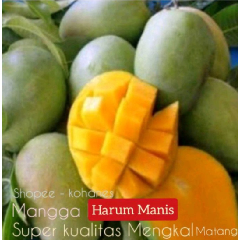 Jual MANGGA HARUM MANIS MATANG ( PILIHAN SPESIAL ) | Shopee Indonesia