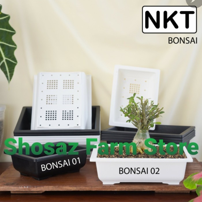 Jual POT BUNGA Ceper Adenium NKT BONSAI 02 29cm HITAM | Shopee Indonesia