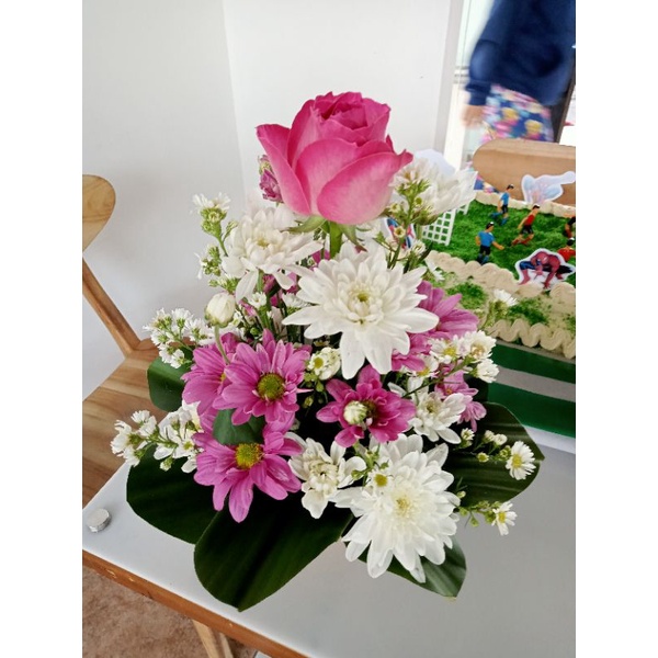 Jual bunga meja aster dan mawar asli segar | Shopee Indonesia