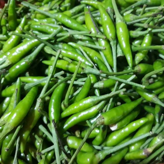 Jual Cabe Rawit Ijo 100gr | Shopee Indonesia