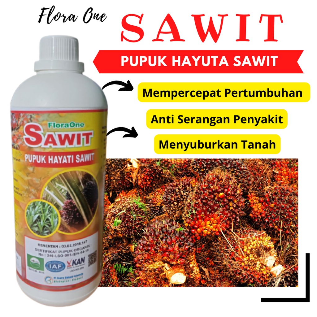 Jual Pupuk Hayati Cair Untuk Sawit Pupuk Floraone Sawit Pupuk Buah ... Jual Pupuk Hayati Cair Untuk Sawit Pupuk Floraone Sawit Pupuk Buah ...