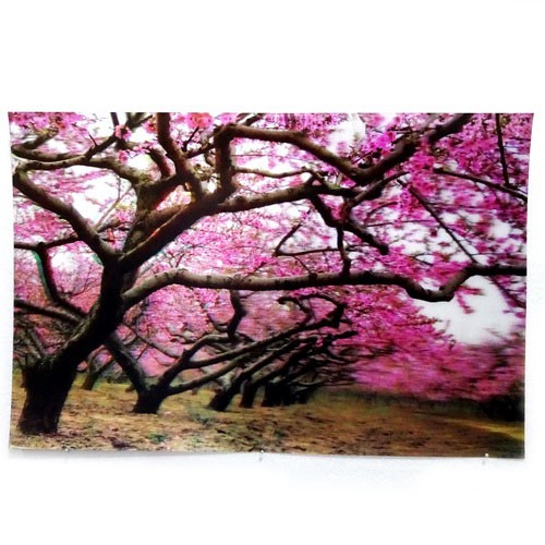 Jual Poster 3D Bunga Sakura | Shopee Indonesia