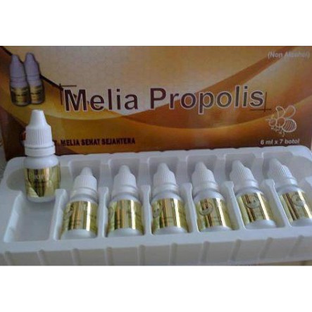 Jual 1 box Propolis Melia Original Emboss PT Melia Sehat Sejahtera ...