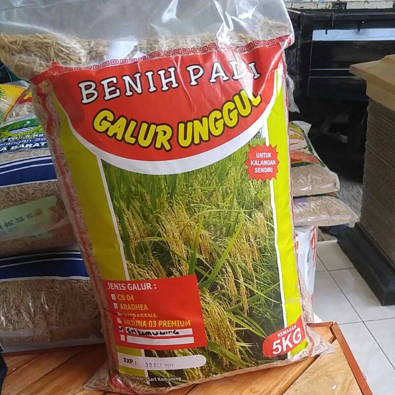 Jual Benih Padi Galur Unggul Sri Kemuning Srikemuning Lokal Kemasan 5 ...