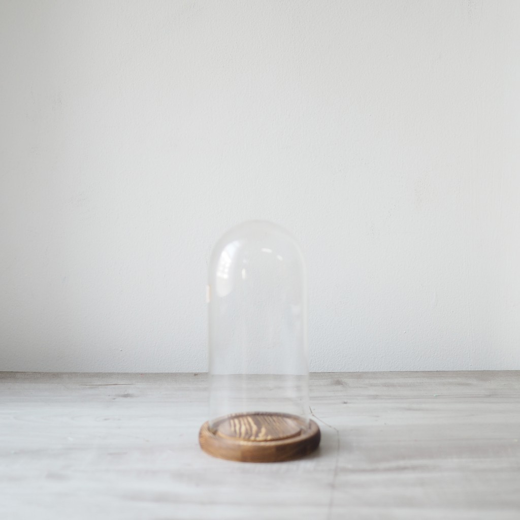 Jual Vas Beauty and The Beast / Dome Vase with Wooden Base E (V19015 ...