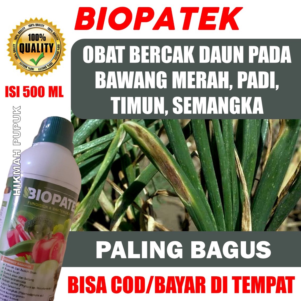 Jual BIOPATEK Obat Penyakit Obat Bercak Daun Pada Bawang Merah, Padi ...