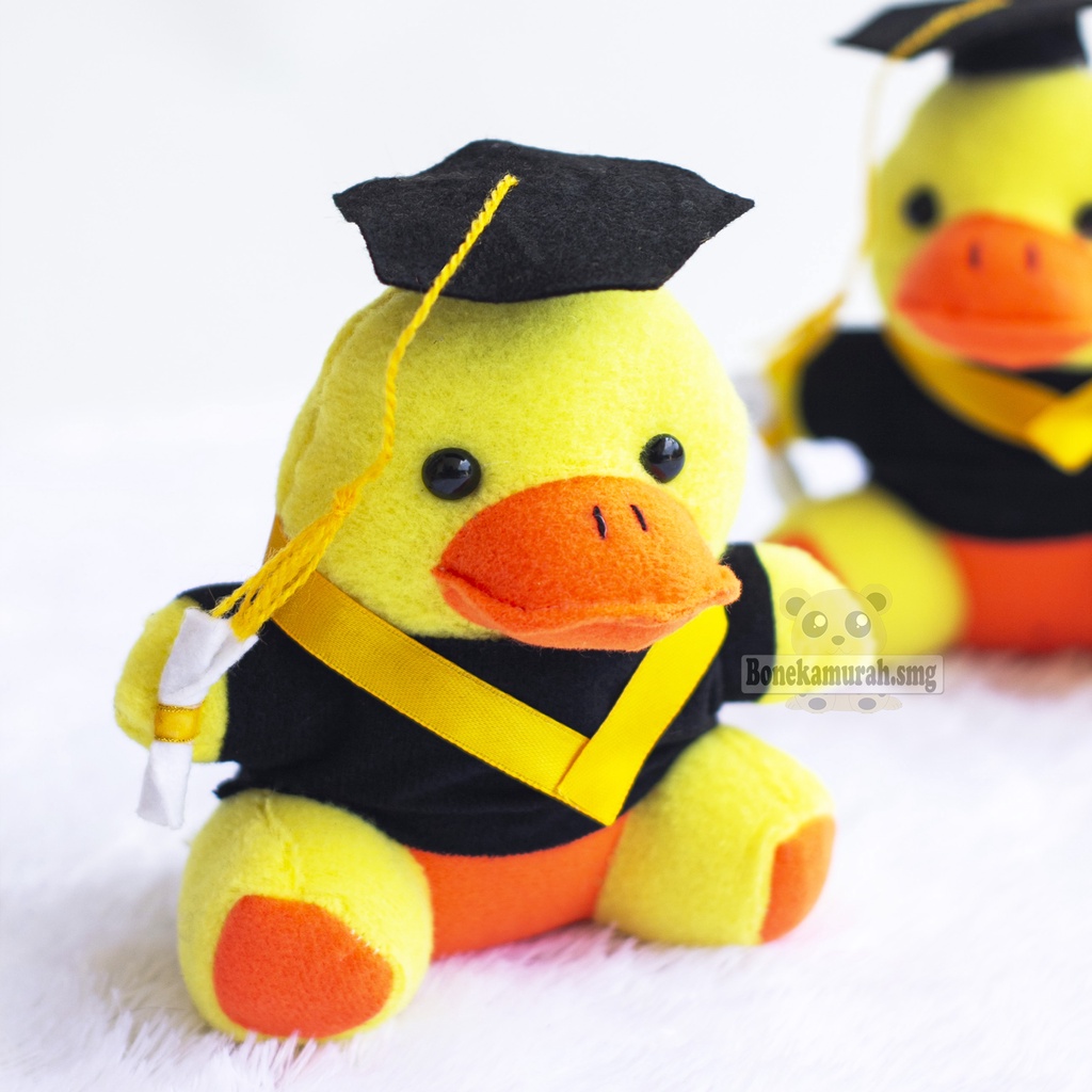 Jual Boneka wisuda toga ukuran 15cm | Shopee Indonesia