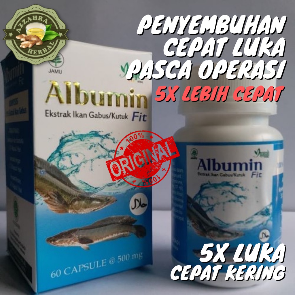 Jual Albumin Fit Premium 5x - Mempercepat Penyembuhan Pasca Operasi - Ekstrak Ikan Gabus 60 ...