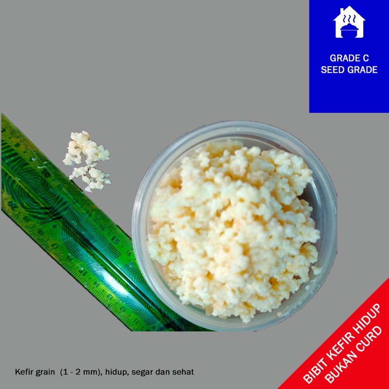 Jual 100% BIBIT KEFIR HIDUP/KEFIR GRAIN (FRESH ORGANIC) - KEFIREE (50 ...