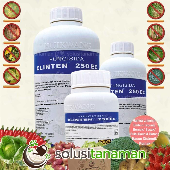 Jual Pestisida Clinten @500ml Obat Fungisida Pembasmi Hama Jamur Tanaman | Shopee Indonesia