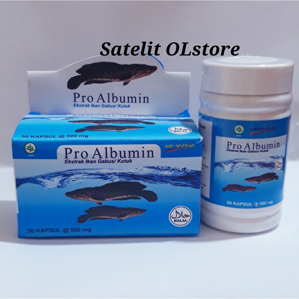 Jual PRO ALBUMIN Ekstrak Ikan Gabus - Kapsul Kutuk - Membantu Penyembuhan Luka | Shopee Indonesia