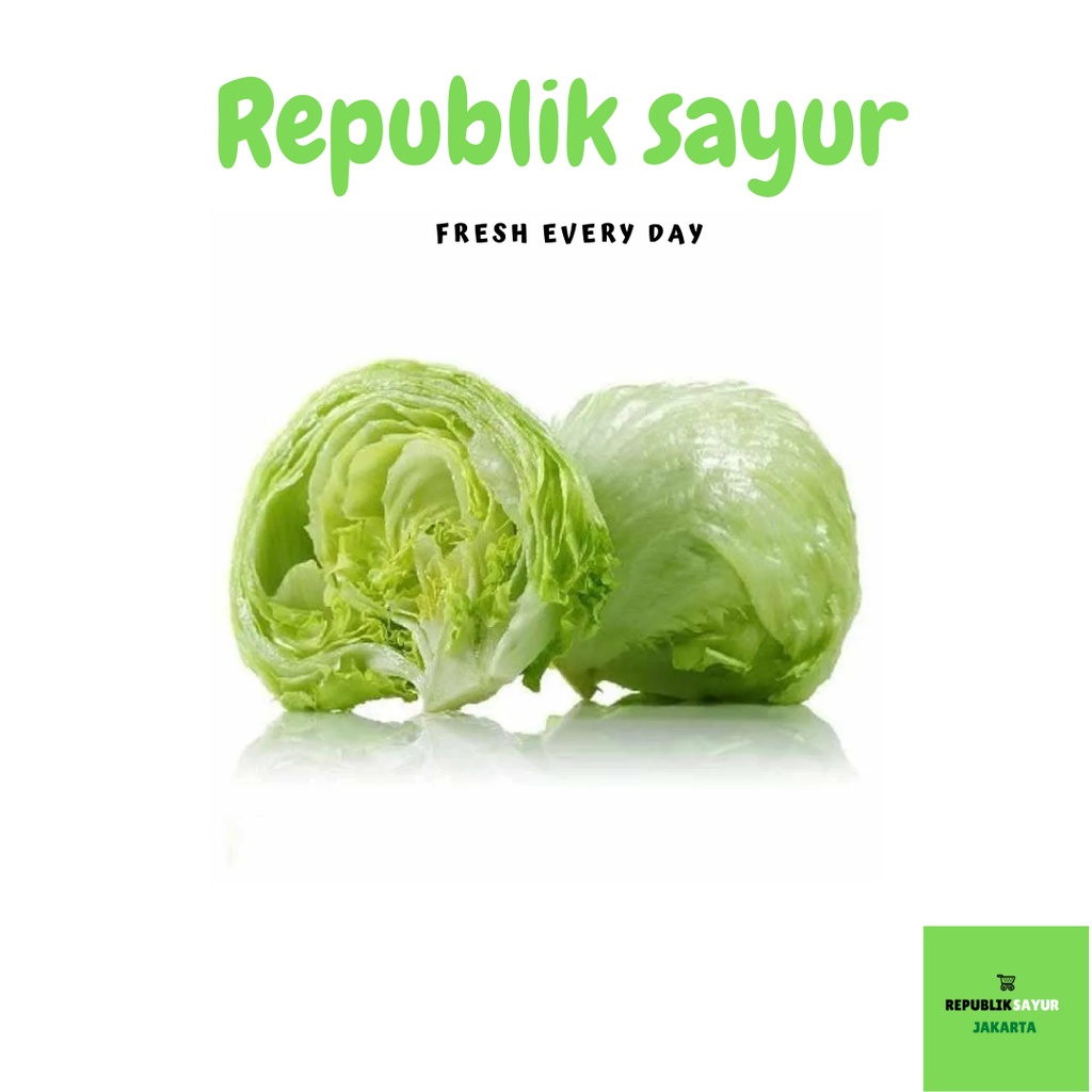 Jual Selada Bulat/Lettuce Head Segar 1 Pcs | Shopee Indonesia