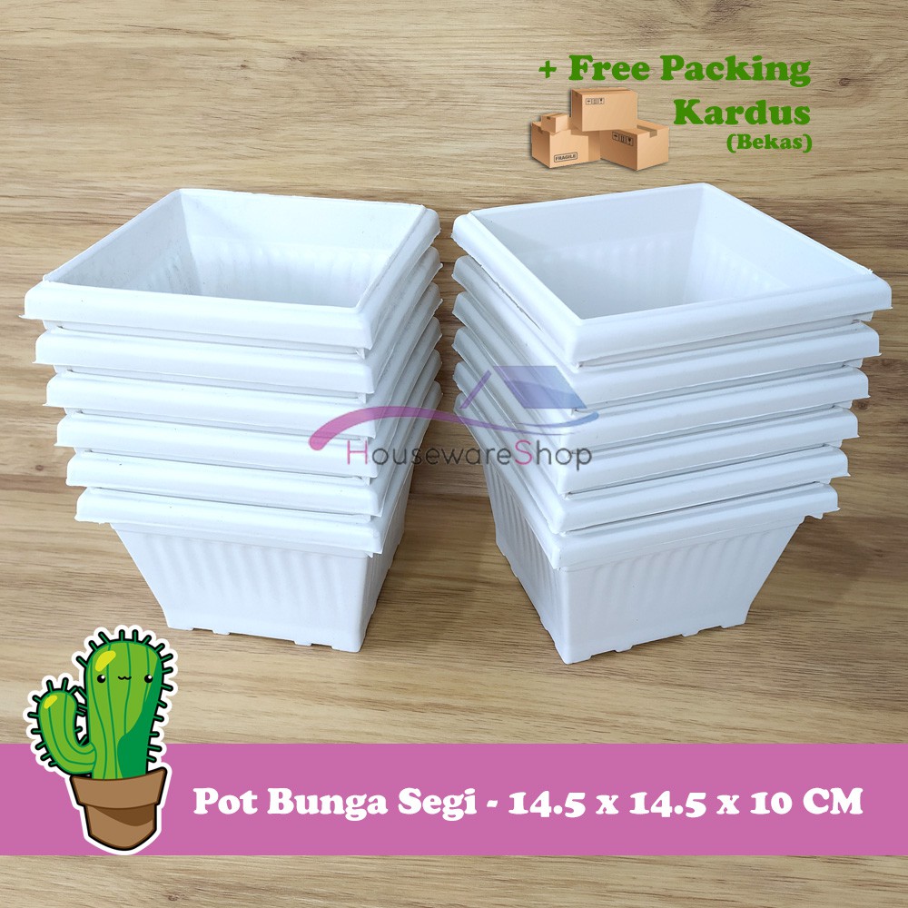 Jual Pot Bunga Segi Tanaman Hias dan Bunga 20 - Putih | Shopee Indonesia
