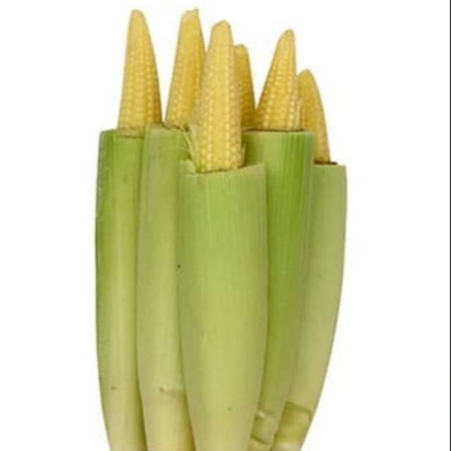 Jual Jagung muda (putren/baby corn) 250gr | Shopee Indonesia